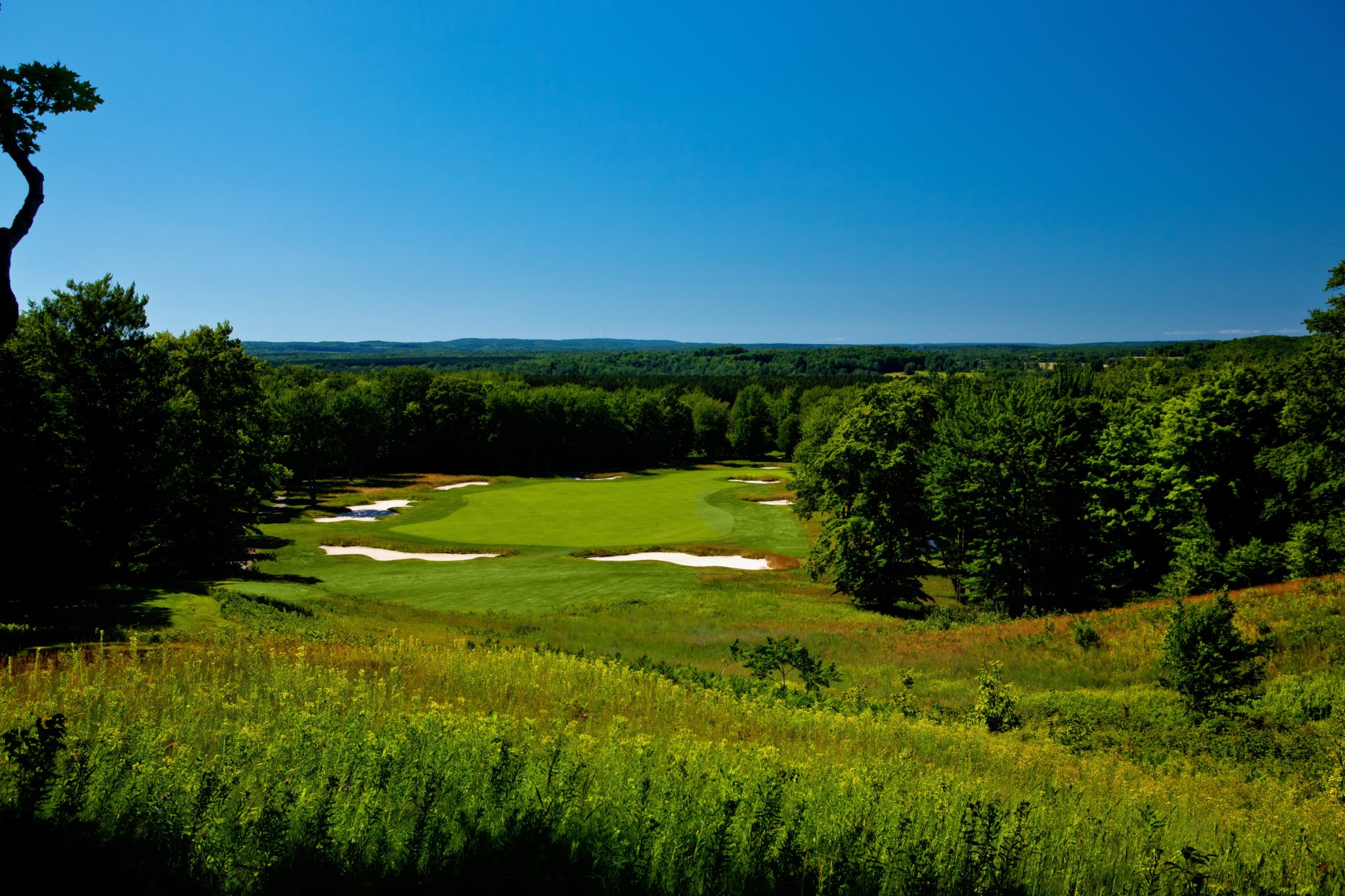 TREETOPS RESORT’S KEVIN MCKINLEY Named Michigan PGA Golf Executive of ...