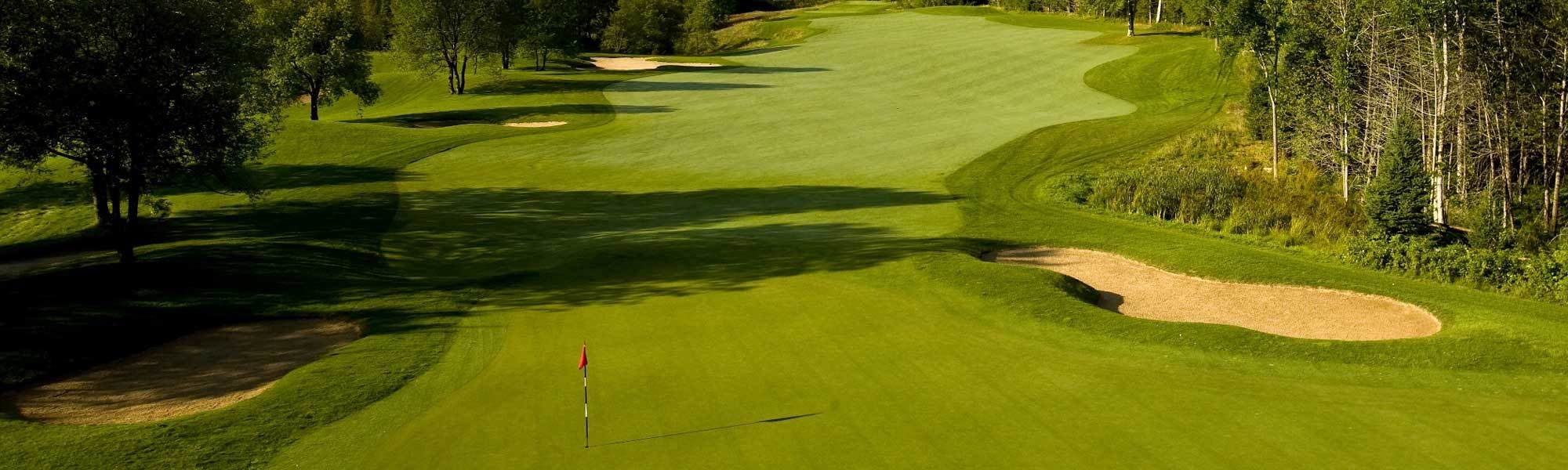 The Tribute - Gaylord Golf Mecca