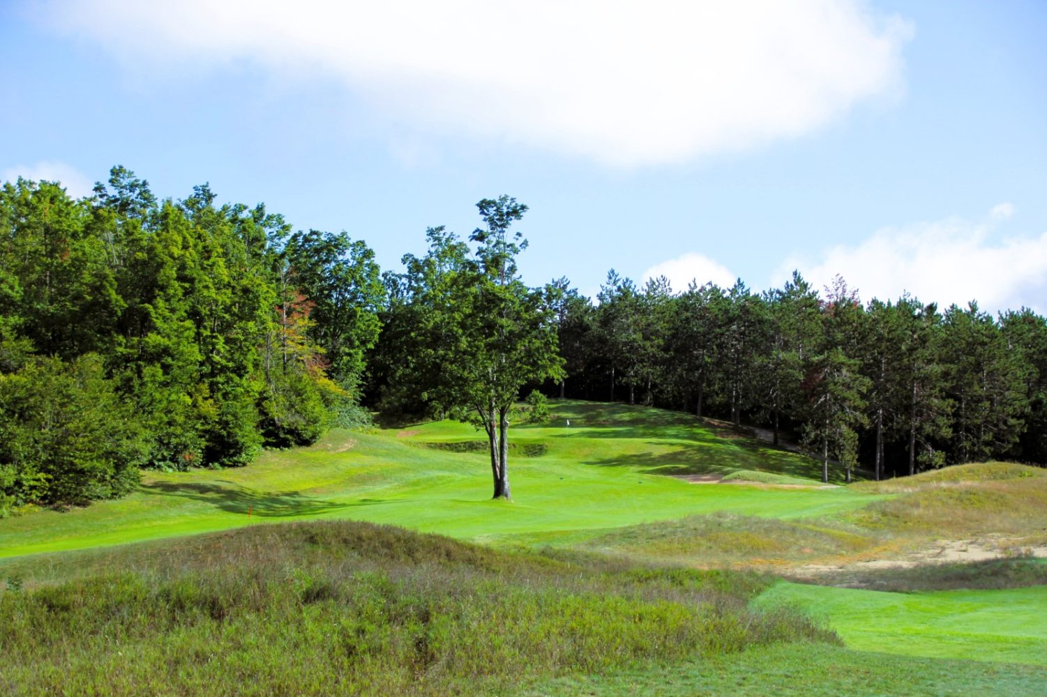 Black Bear Golf Course Makes Most of Mecca Membership - Gaylord Golf Mecca